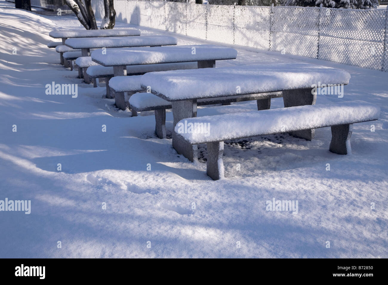 A picnic area with snow-covered benches and tables on the shore of Lake ...