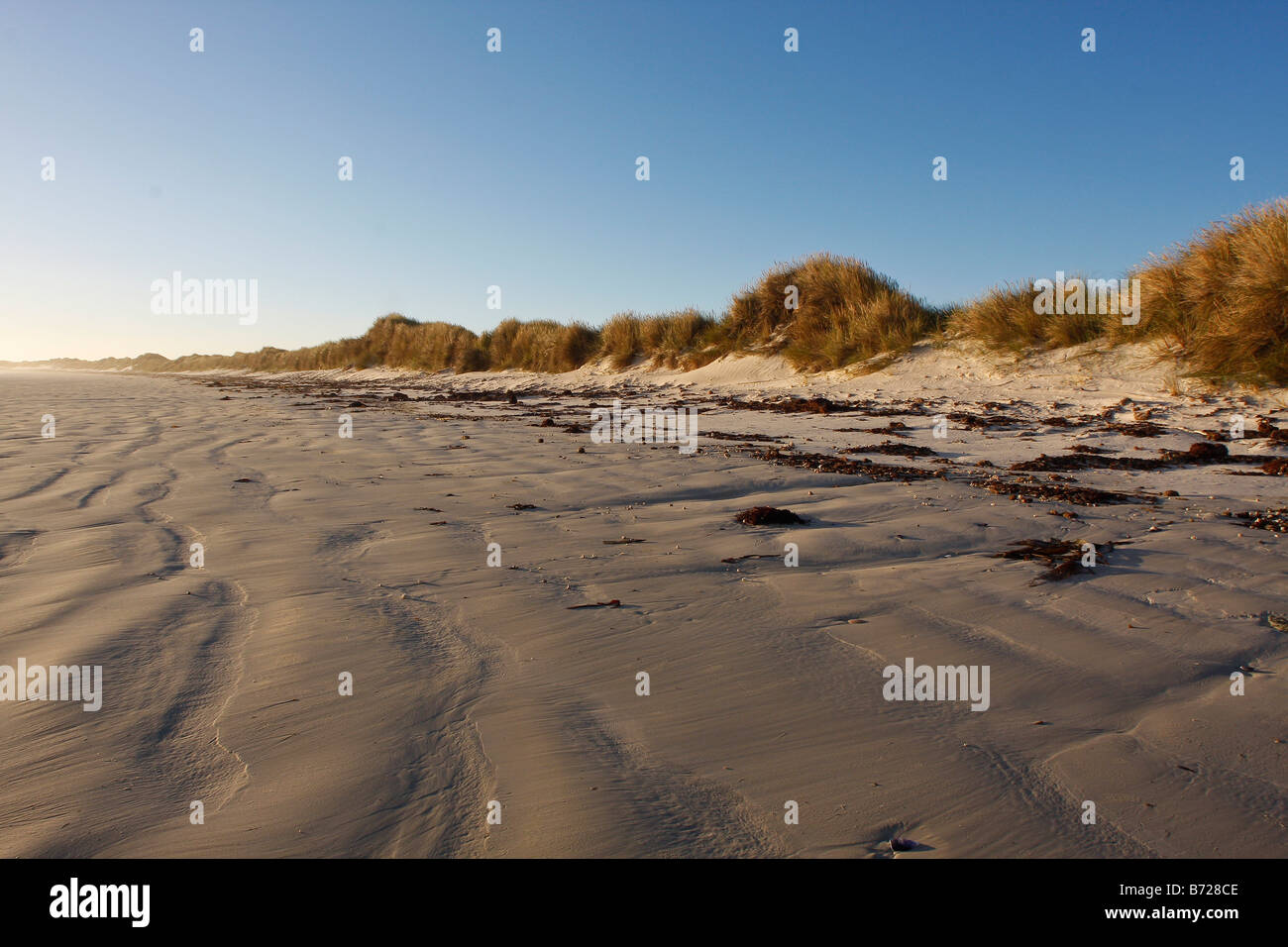 Pebble Island Landscape Falkland Islands Stock Photo - Alamy