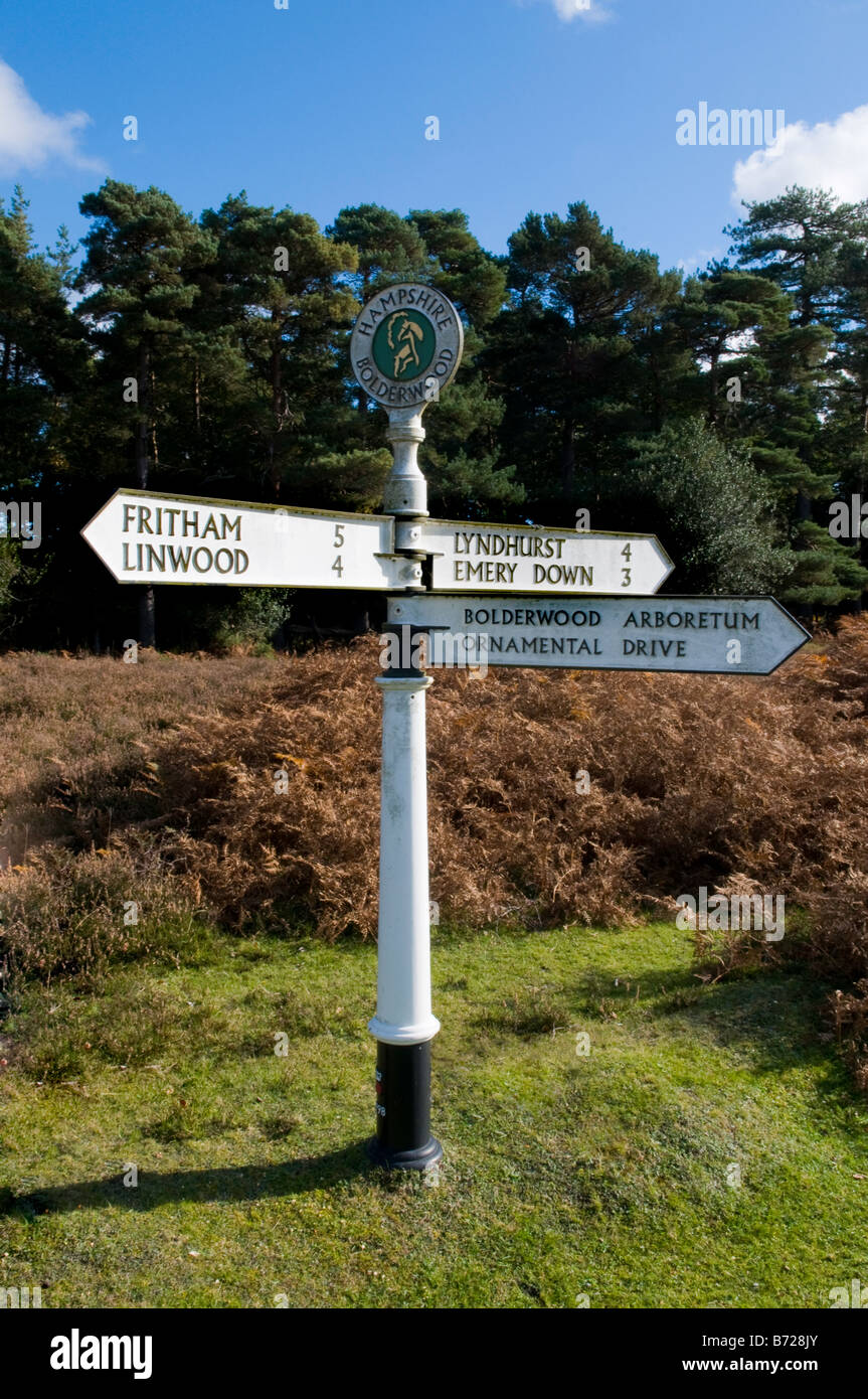 New Forest National Park Logo