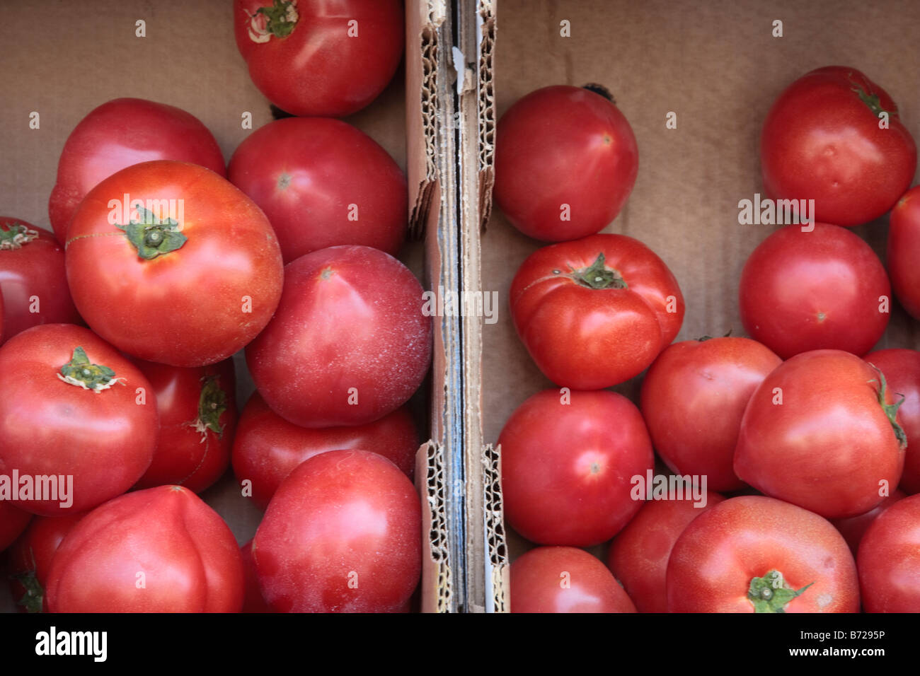 Inside tomato abstract background hi-res stock photography and images ...