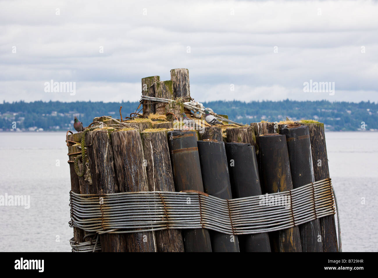 Timber Fender High Resolution Stock Photography and Images - Alamy