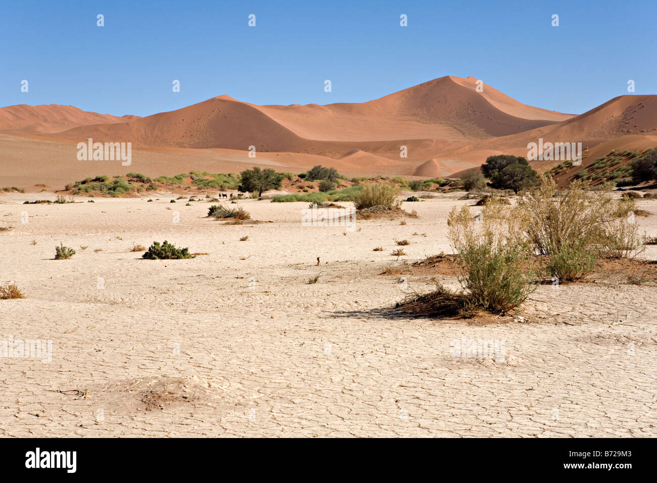 Biotope land hi-res stock photography and images - Alamy