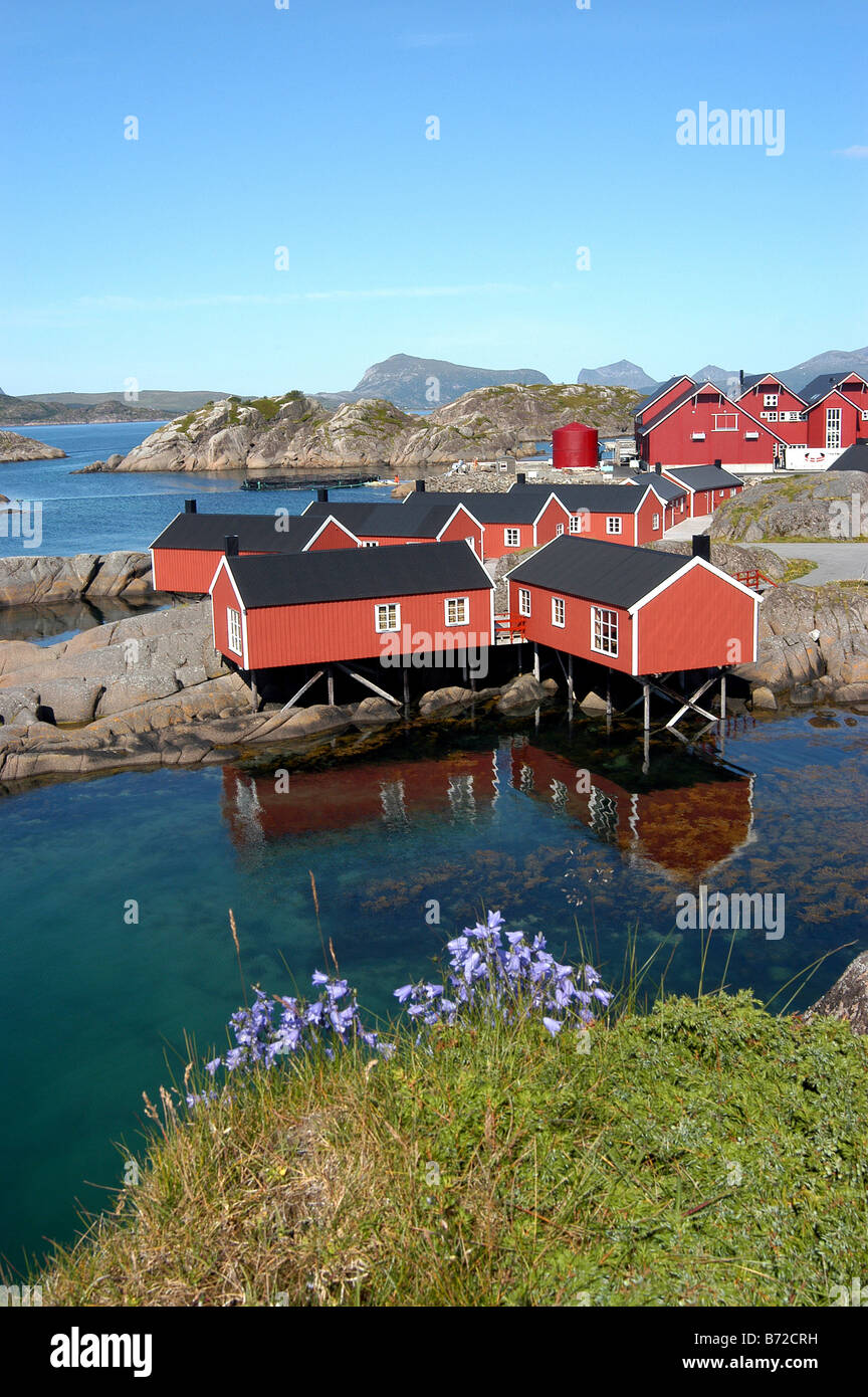 Mortsund, Lofoten island, Lapland, Norway Stock Photo - Alamy