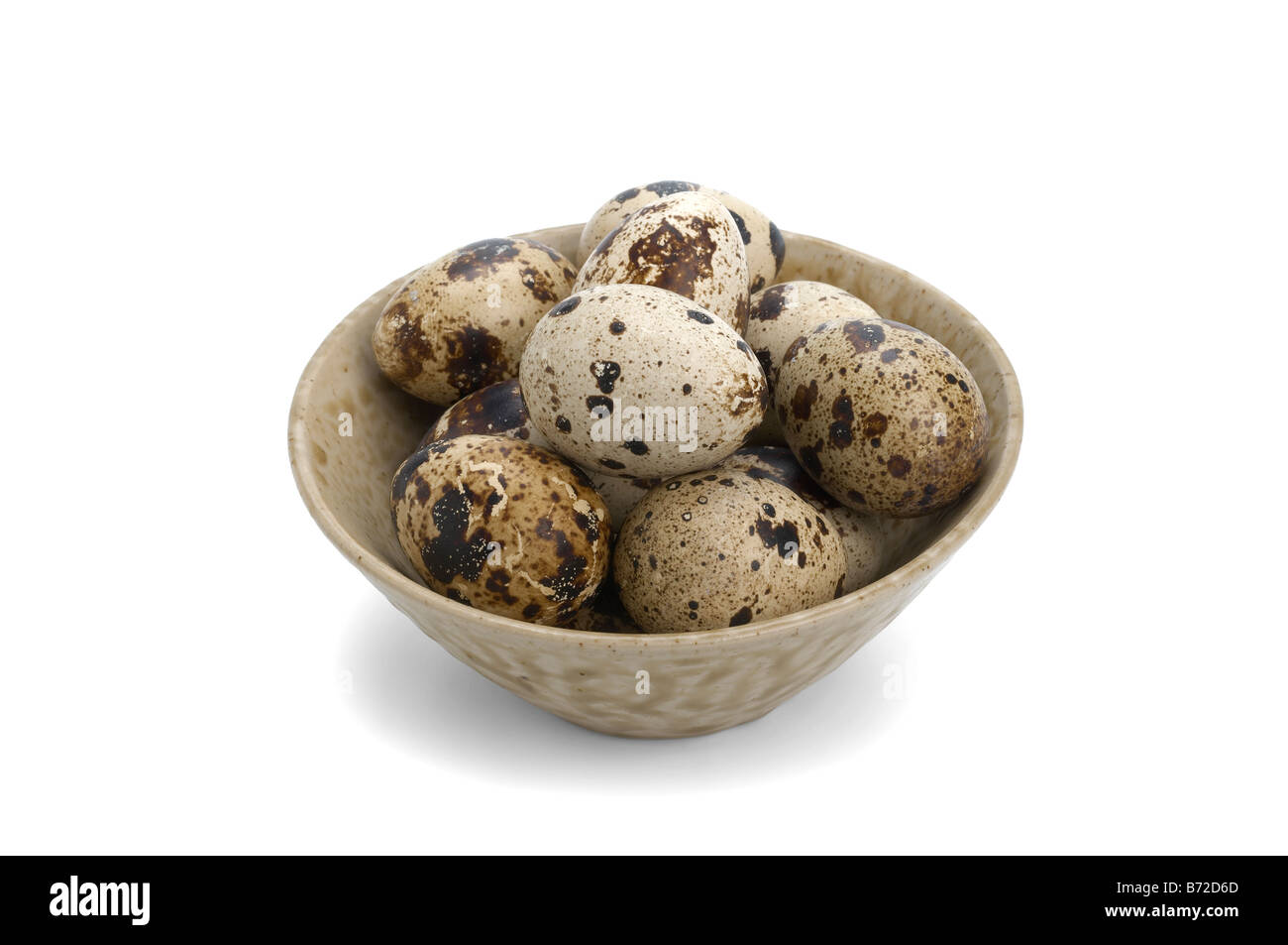 Quail s Eggs Stock Photo - Alamy
