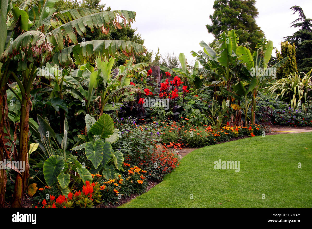 Tropical Flower Gardens