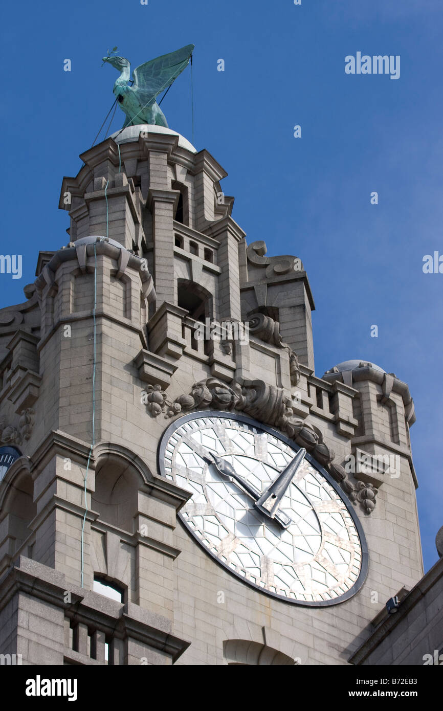 The clock tower on the top of the Royal Liver Building Stock Photo - Alamy