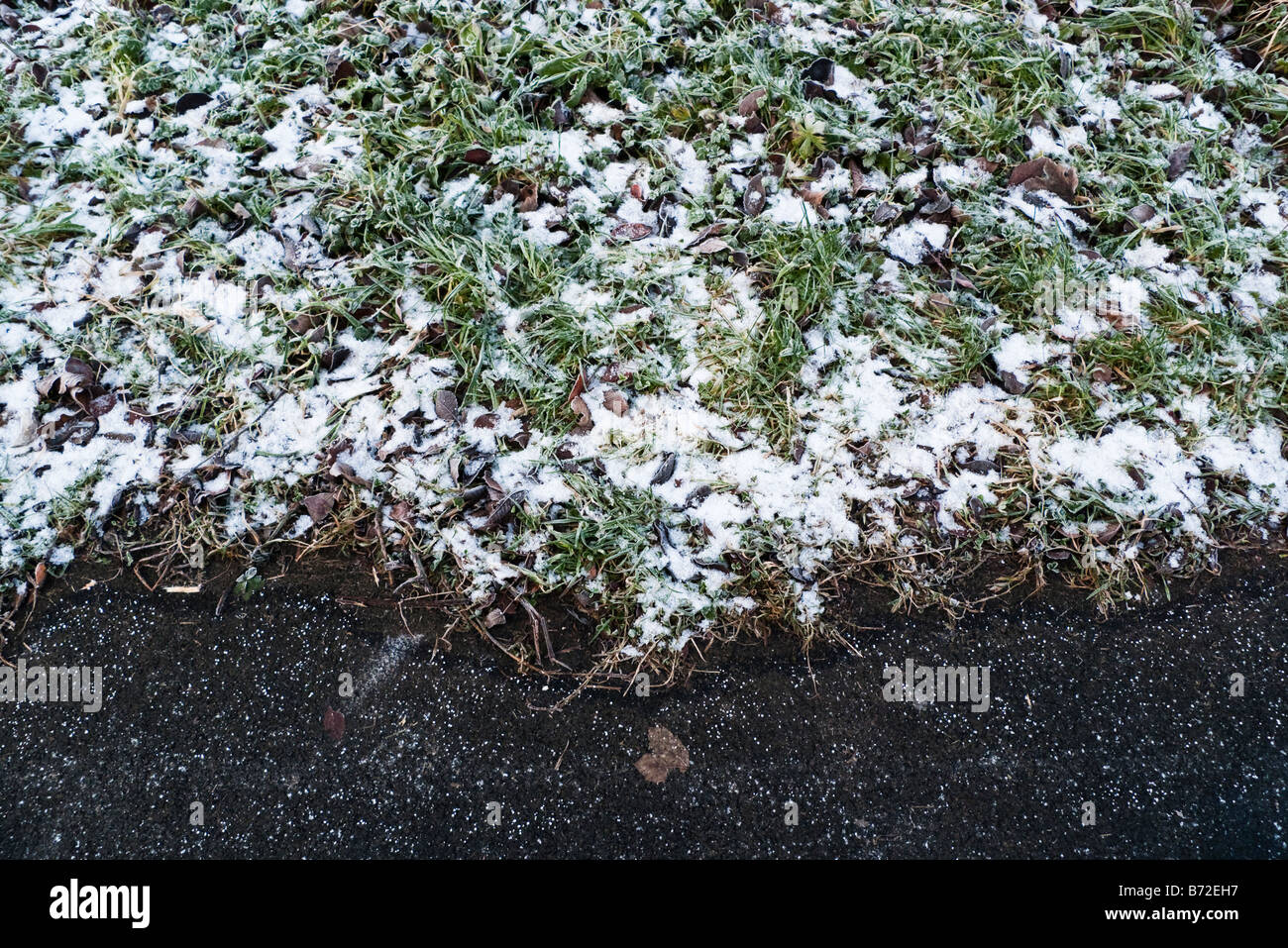 Close up of frosty ground Stock Photo - Alamy