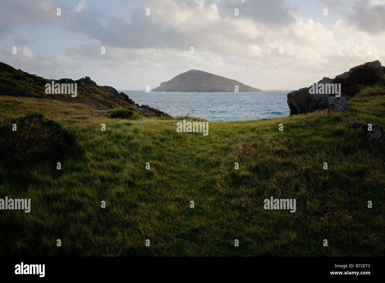 Chevreau High Resolution Stock Photography and Images - Alamy