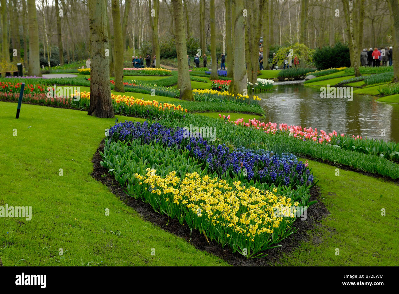 beautiful garden of colorful flowers in spring keukenhof The ...