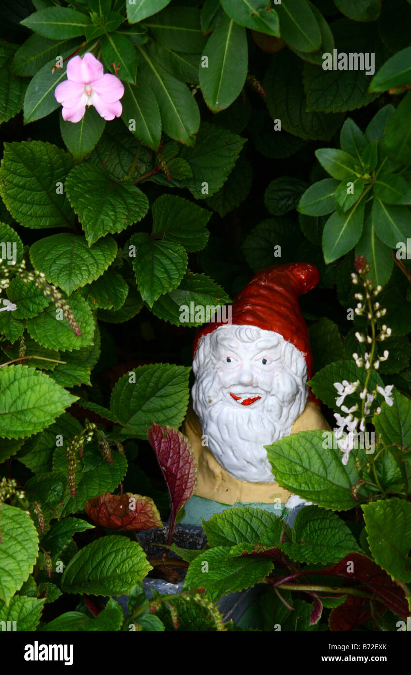 Knome in his home Stock Photo - Alamy