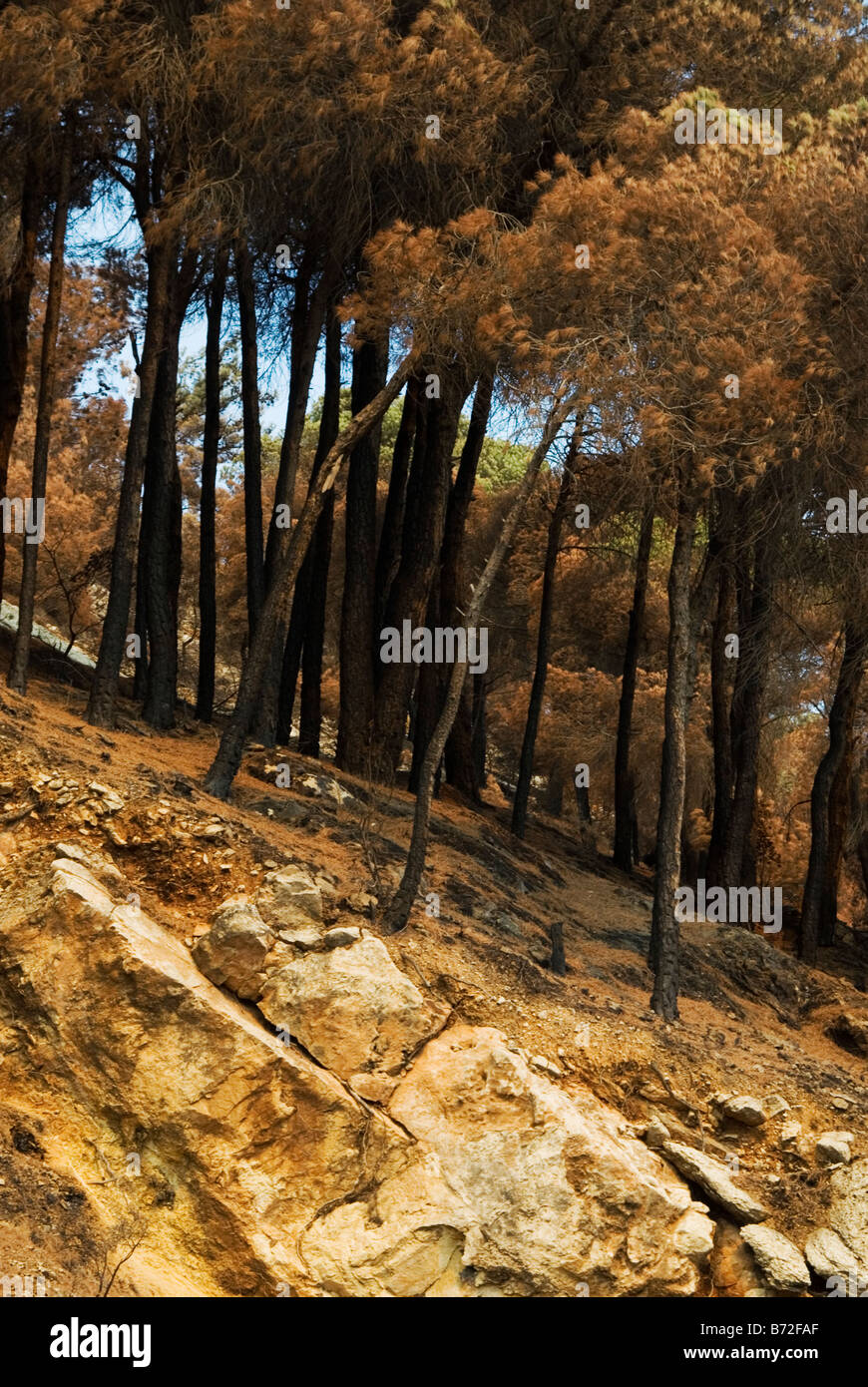 Deir al qamar lebanon middle hi-res stock photography and images - Alamy