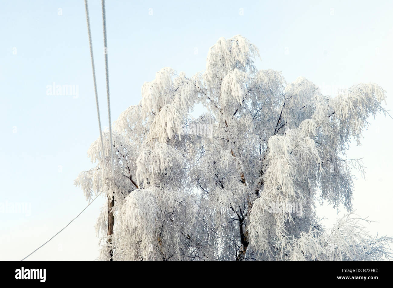 Frozen power cables hi-res stock photography and images - Alamy