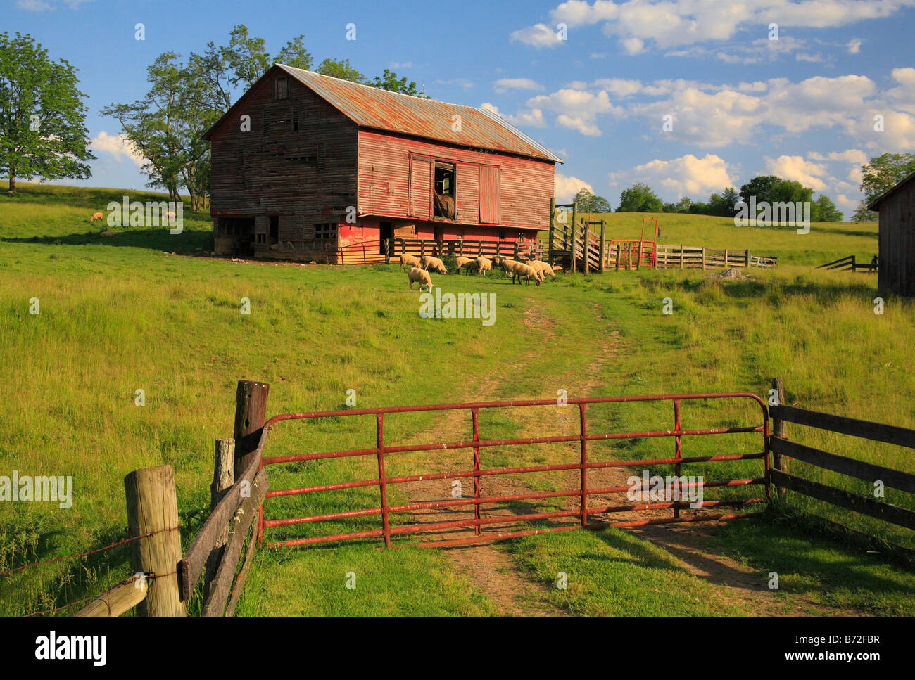 Shenandoah valley barn hi-res stock photography and images - Alamy