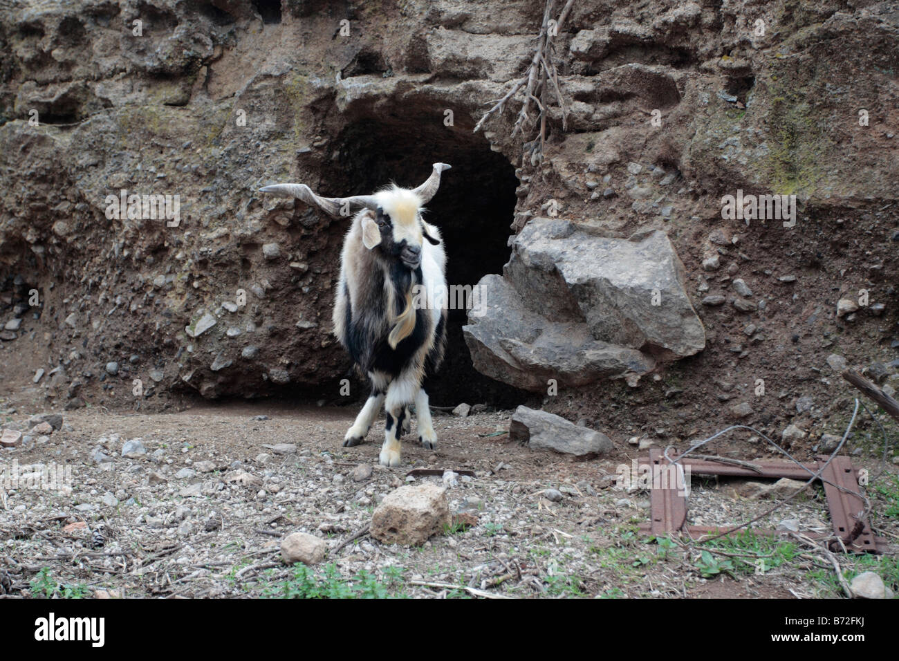 Goats cave hi-res stock photography and images - Alamy