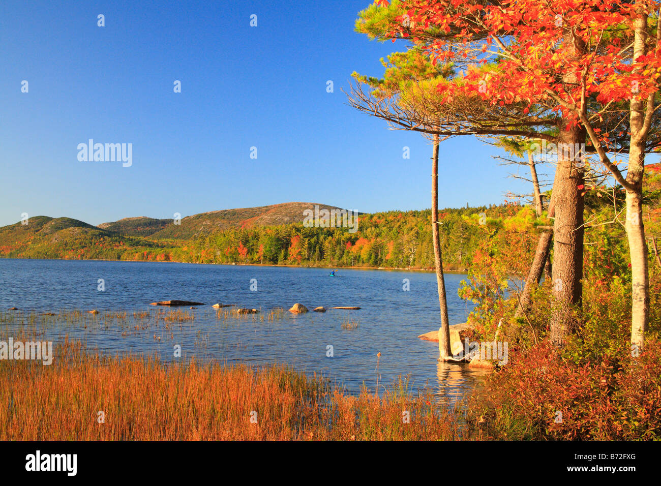 Bubble Pond, Acadia National Park, Maine, USA Stock Photo - Alamy