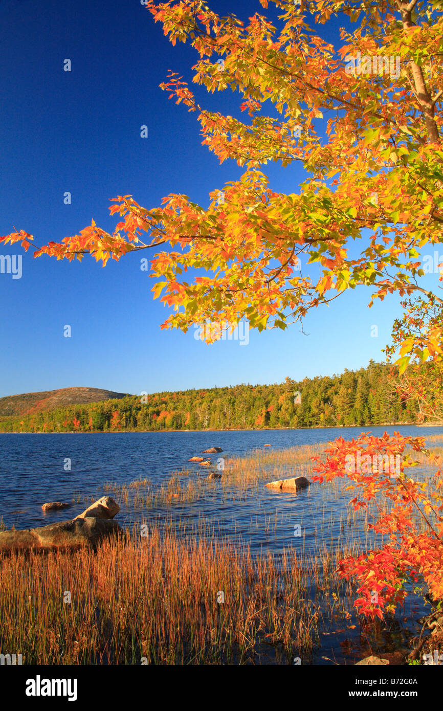 Bubble Pond, Acadia National Park, Maine, USA Stock Photo - Alamy