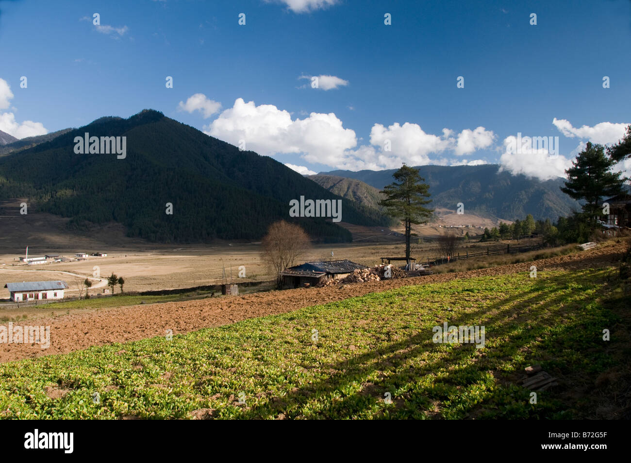Phobjikha valley hi-res stock photography and images - Alamy