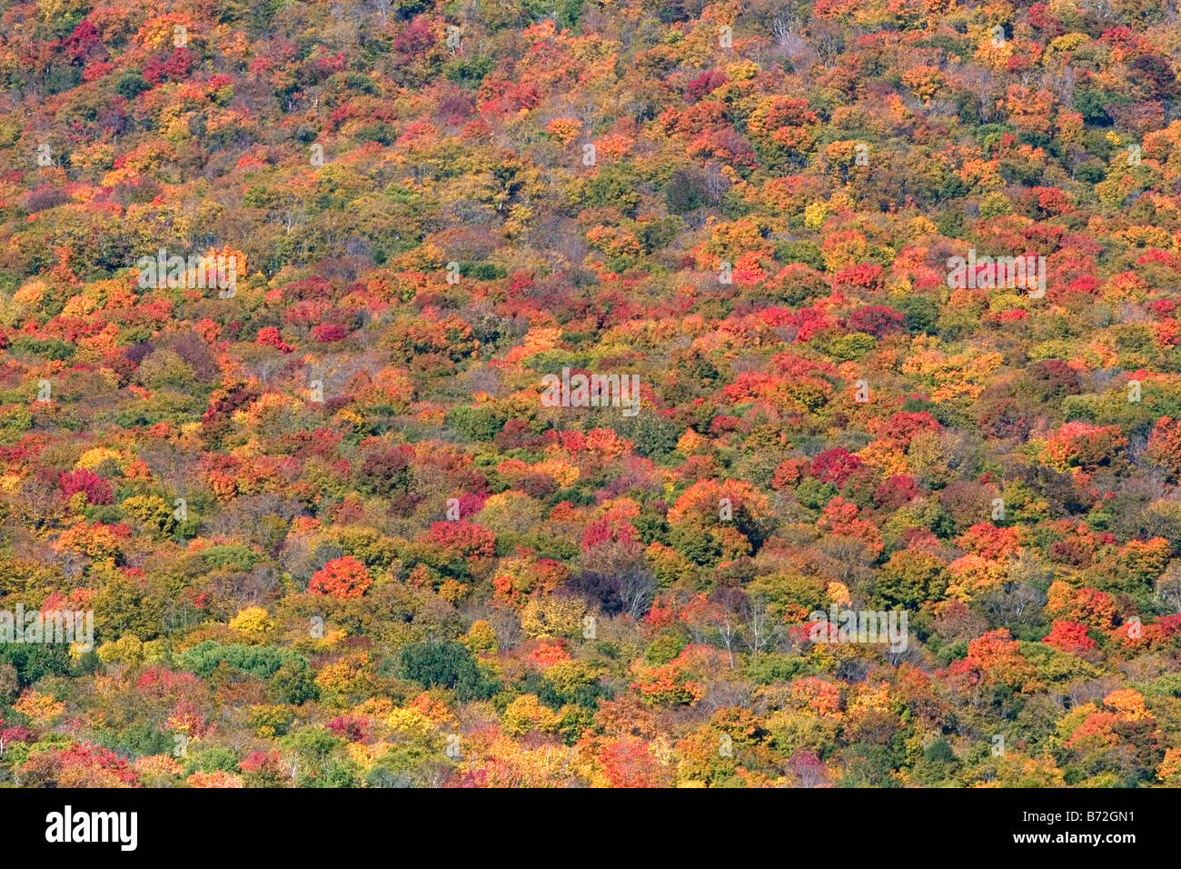 White mountains new hampshire fall hi-res stock photography and images ...