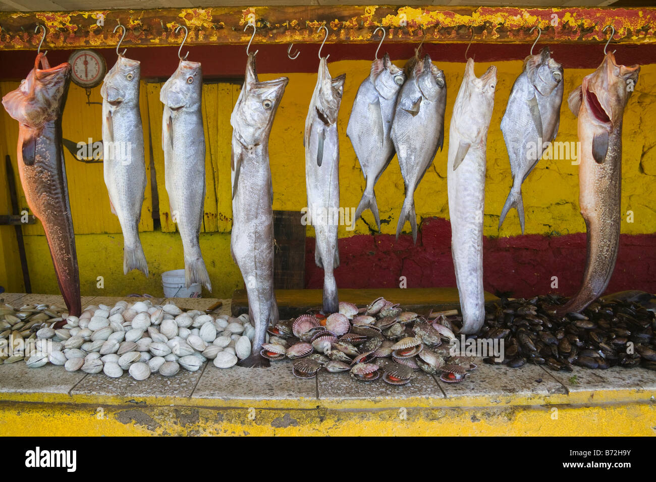 Fish booth Vina del Mar Chile Stock Photo - Alamy