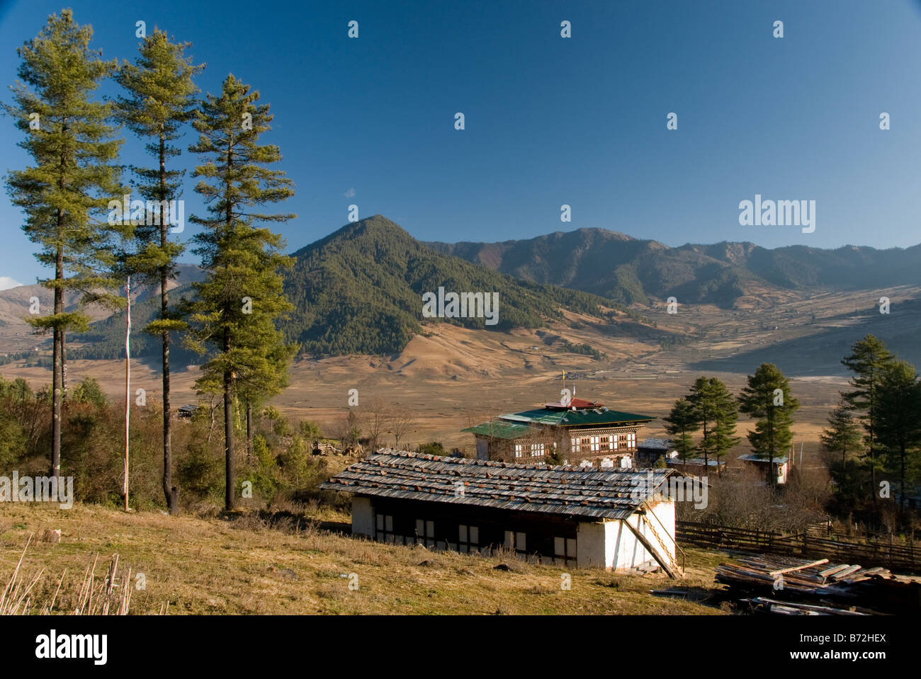 Phobjikha Gangtey Valley Bhutan Asia Stock Photo - Alamy