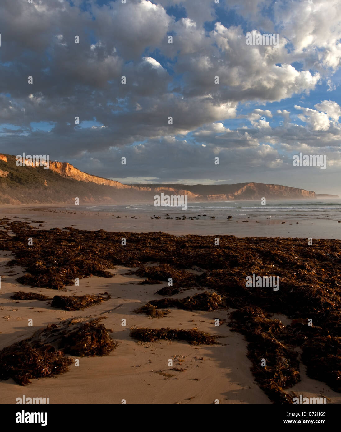 Point addis beach hi-res stock photography and images - Alamy