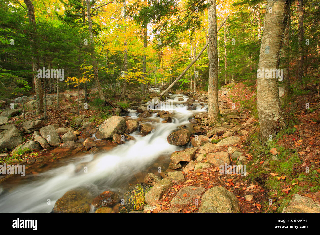 To walk beside road hi-res stock photography and images - Alamy