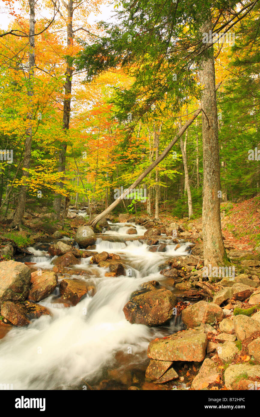 Hiking Trail and Stream Beside Carriage Road near Jordan Pond, Acadia ...
