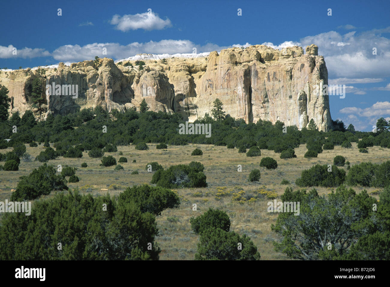Sandstone mesa rises above Juniper forest at El Morro National Monument ...