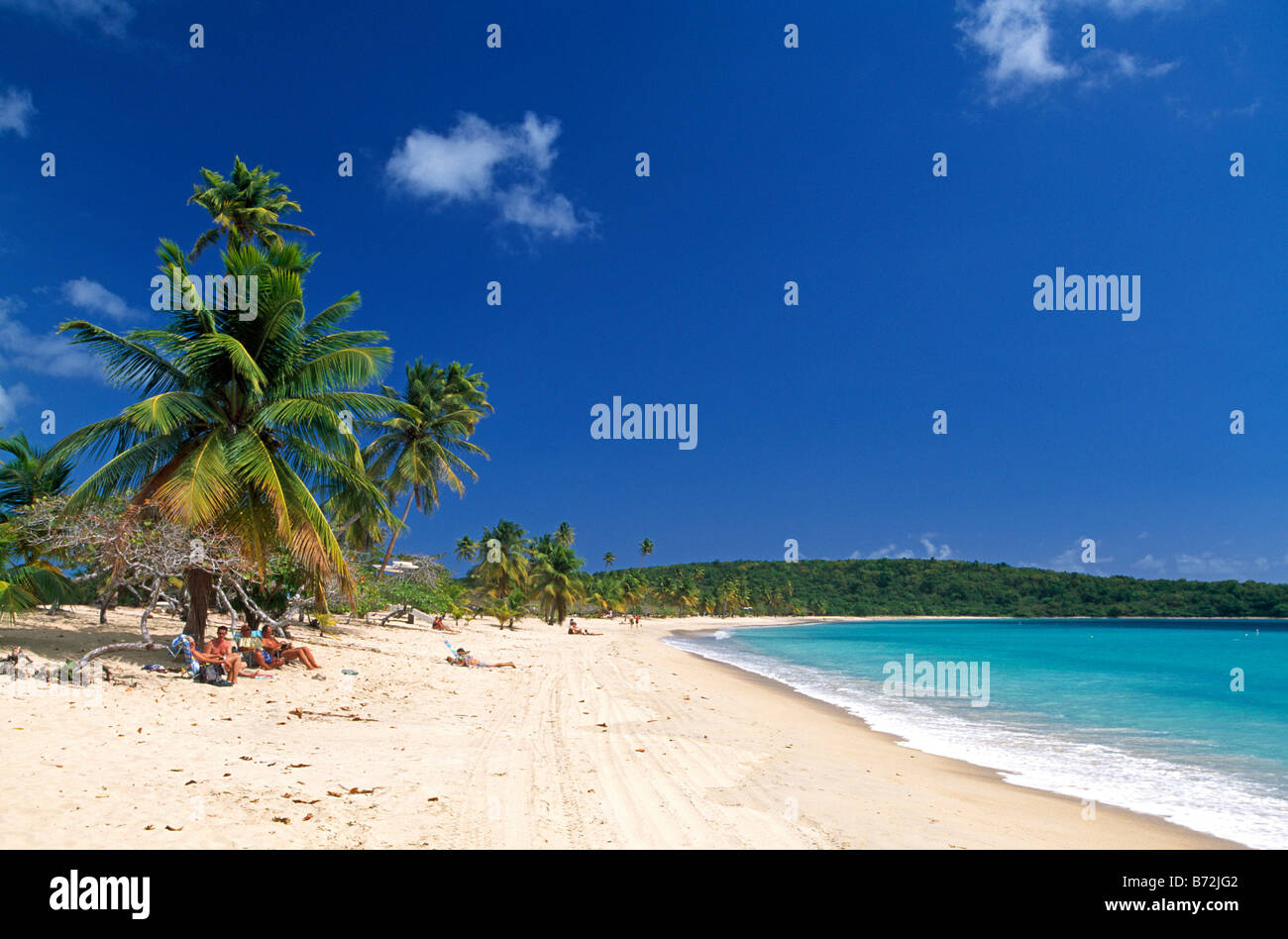 Vieques island puerto rico hi-res stock photography and images - Alamy