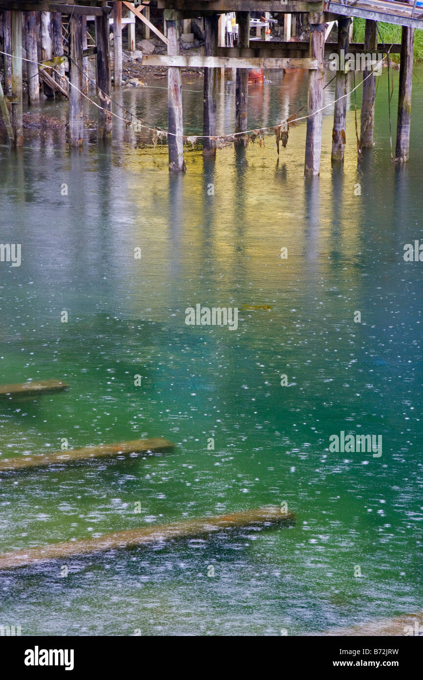 Elfin Cove Alaska USA Stock Photo - Alamy