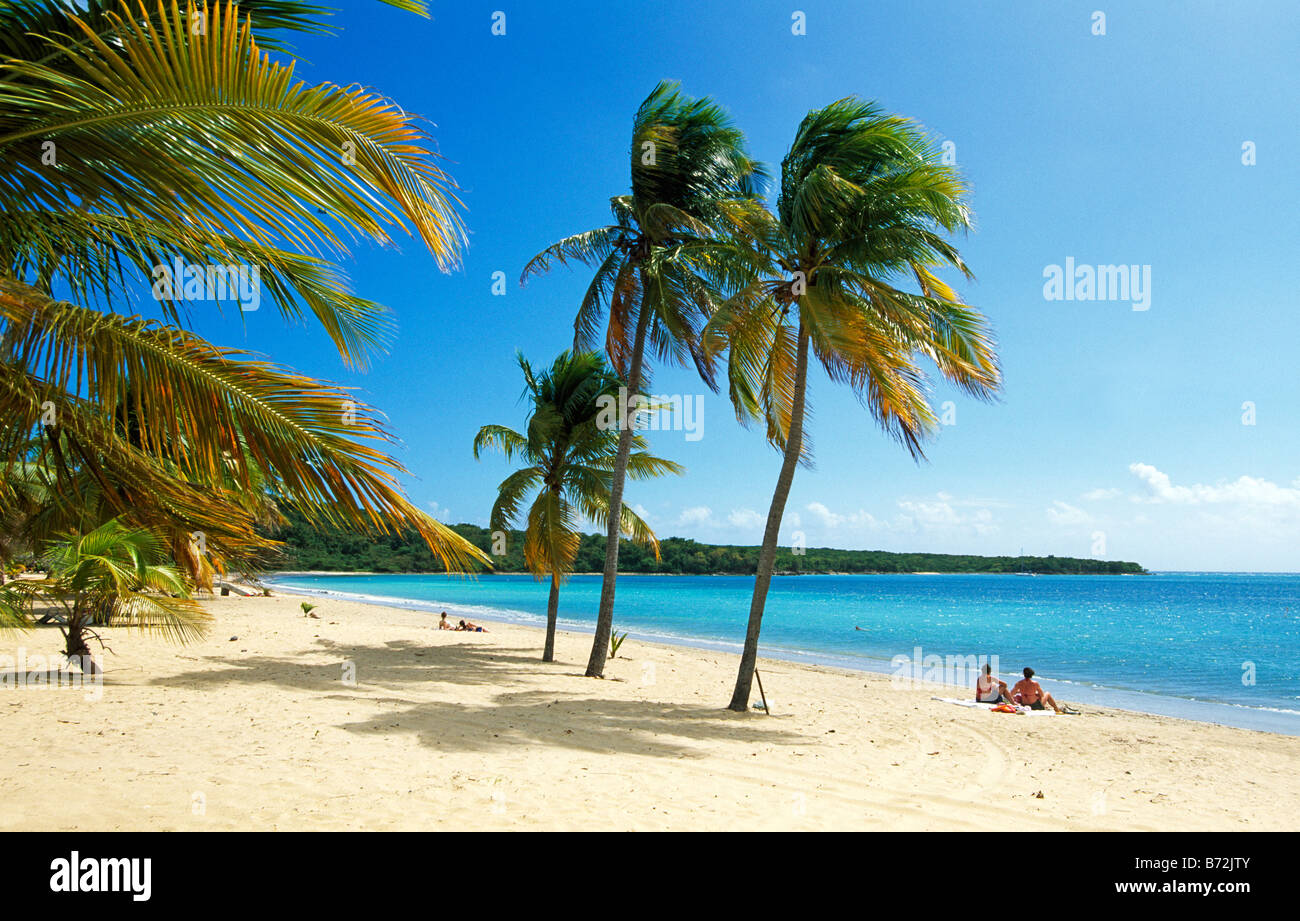 Sun Bay Beach on Vieques Island Puerto Rico Caribbean Stock Photo - Alamy