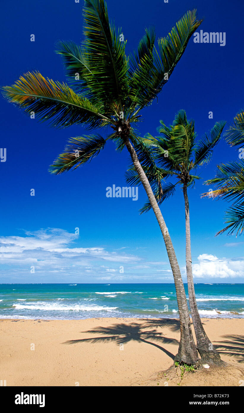 Coco Beach Rio Grande Puerto Rico Caribbean Stock Photo - Alamy