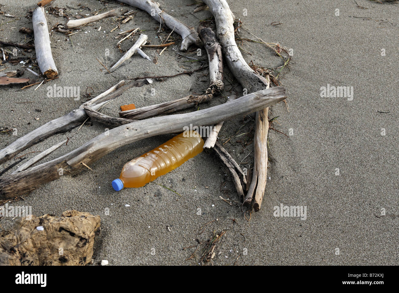 Washed up onto beach hi-res stock photography and images - Alamy