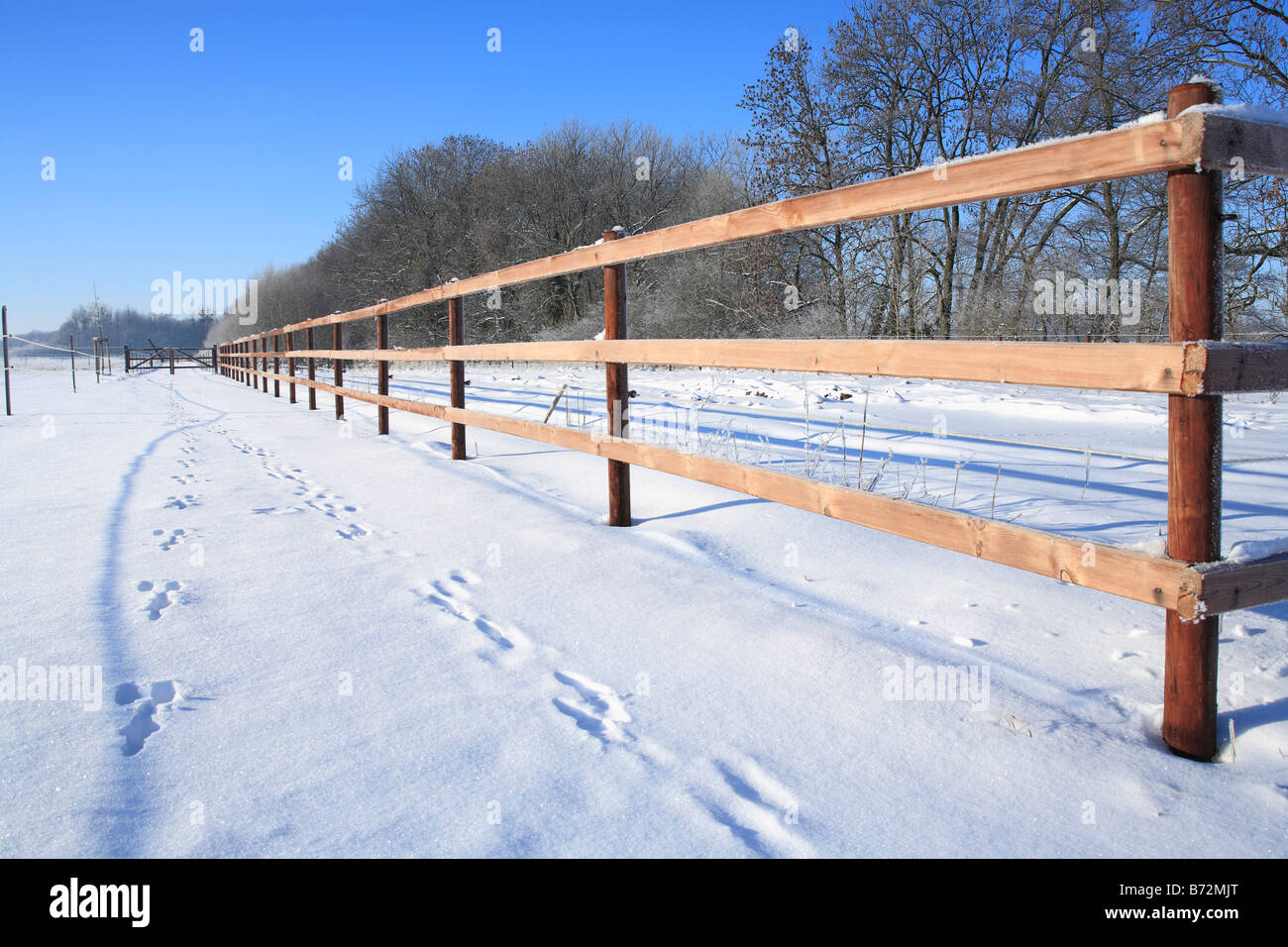 Germany fence hi-res stock photography and images - Alamy