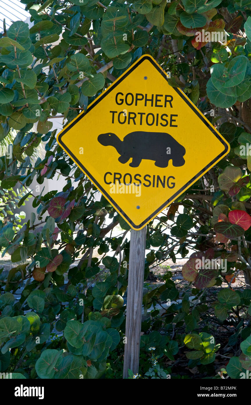 Tortoise warning road sign hi-res stock photography and images - Alamy