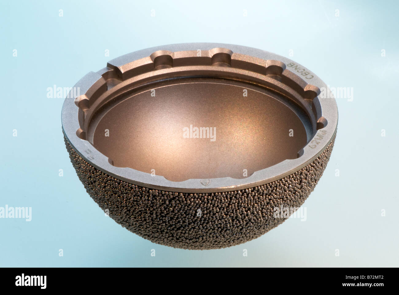 Hip socket hi-res stock photography and images - Alamy