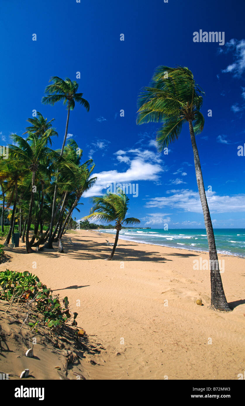 Coco Beach Rio Grande Puerto Rico Caribbean Stock Photo - Alamy