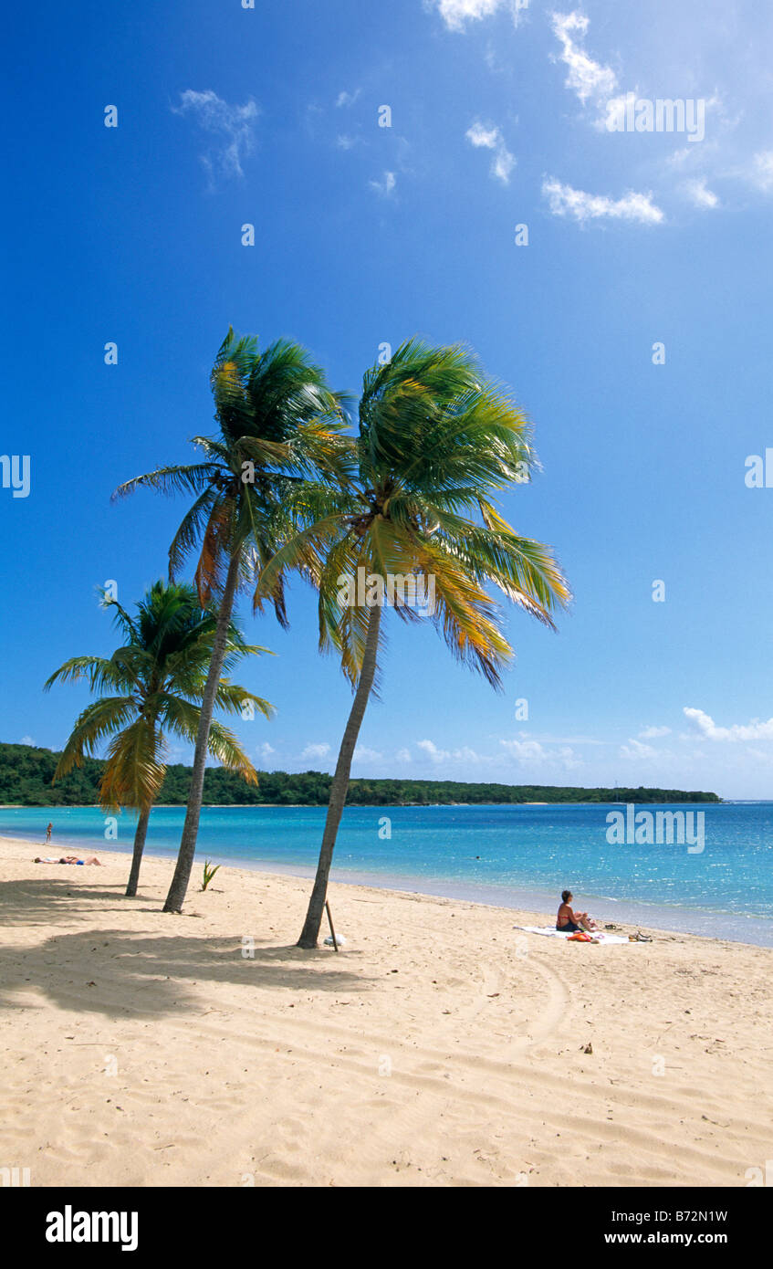 Sun Bay Beach on Vieques Island Puerto Rico Caribbean Stock Photo - Alamy