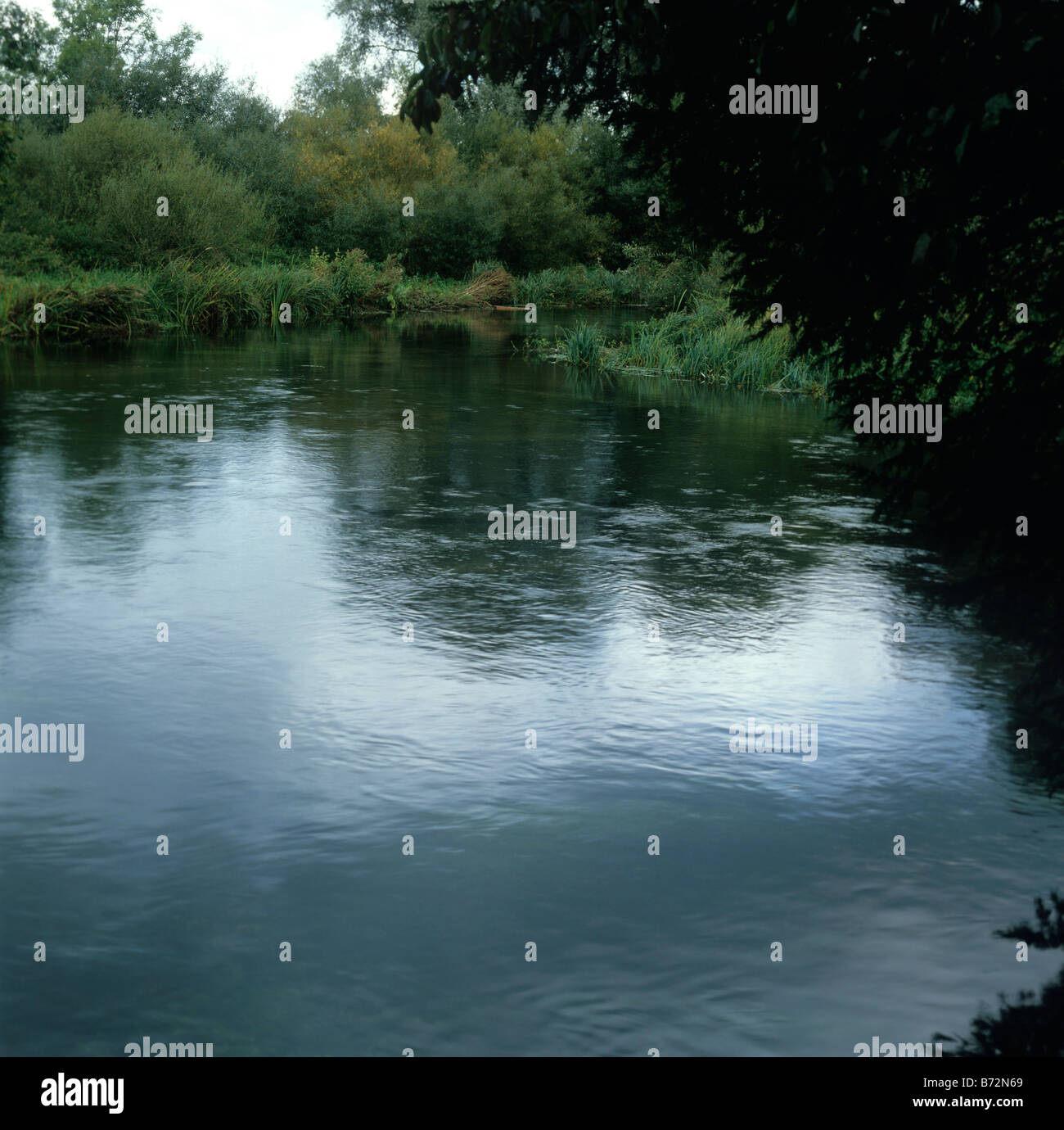 River Test Hampshire the doyen of chalk streams Stock Photo - Alamy