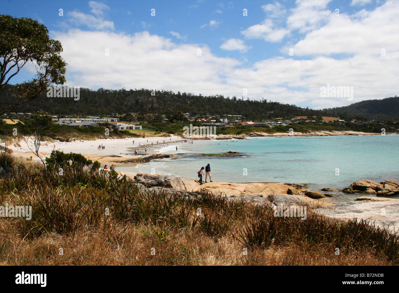 Bicheno hi-res stock photography and images - Alamy