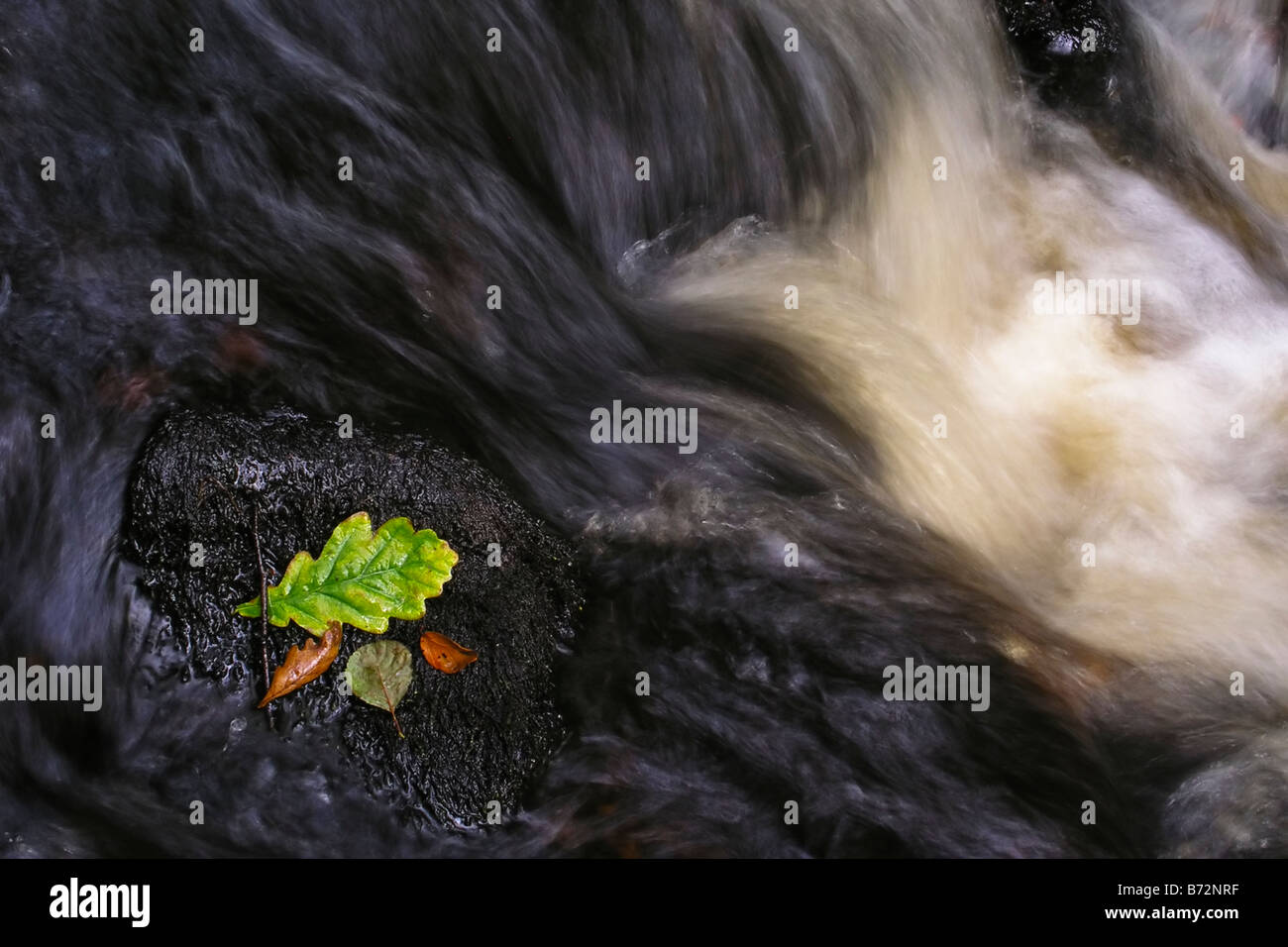 Upper burbage peak district national hi-res stock photography and ...