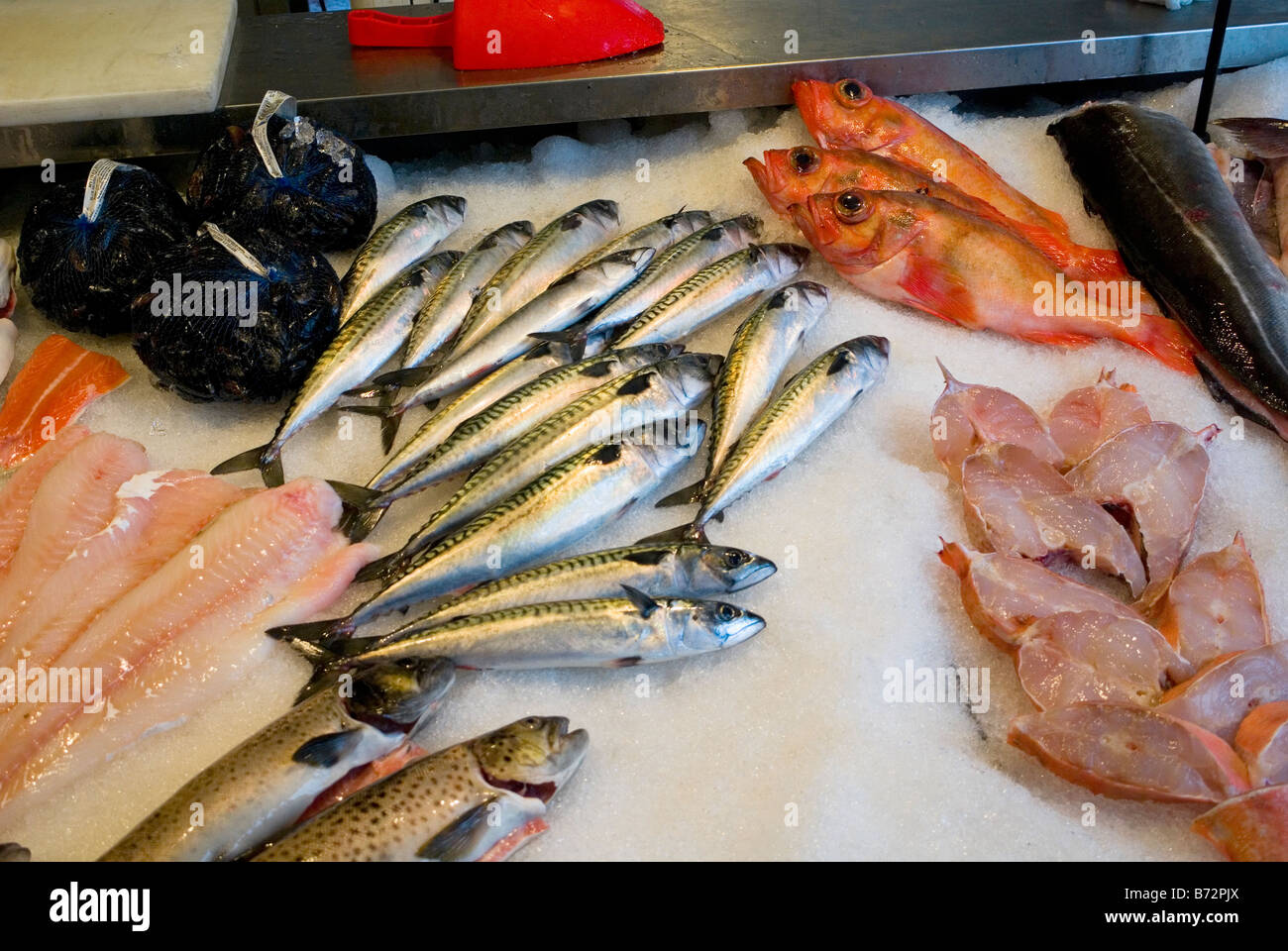 Miscellaneous fish on sale at Fish Market in Bergen Stock Photo - Alamy