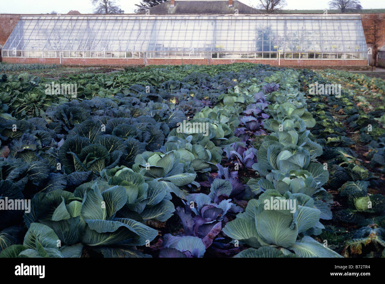 Sandling park hi-res stock photography and images - Alamy