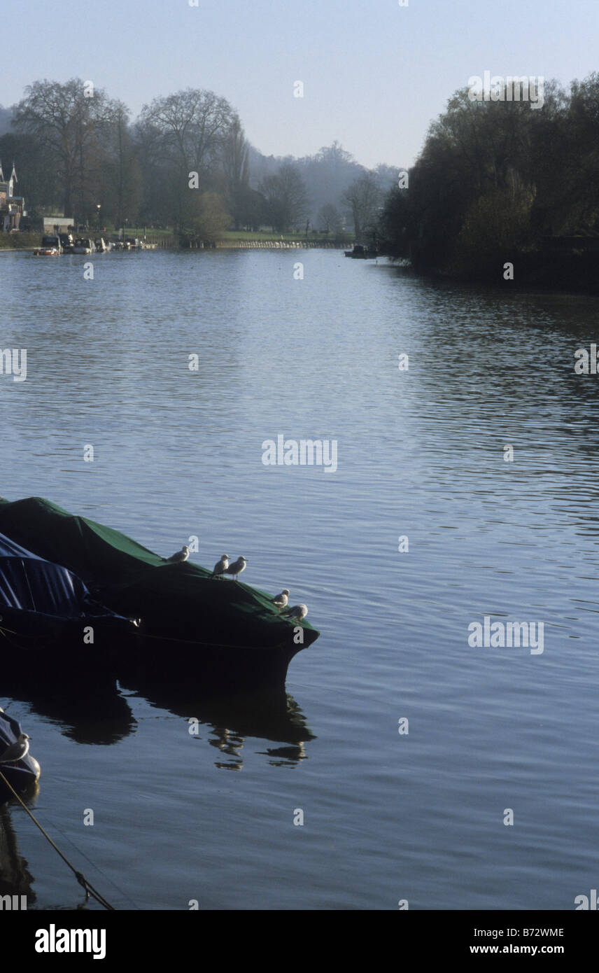 The river thames at richmond hi-res stock photography and images - Alamy