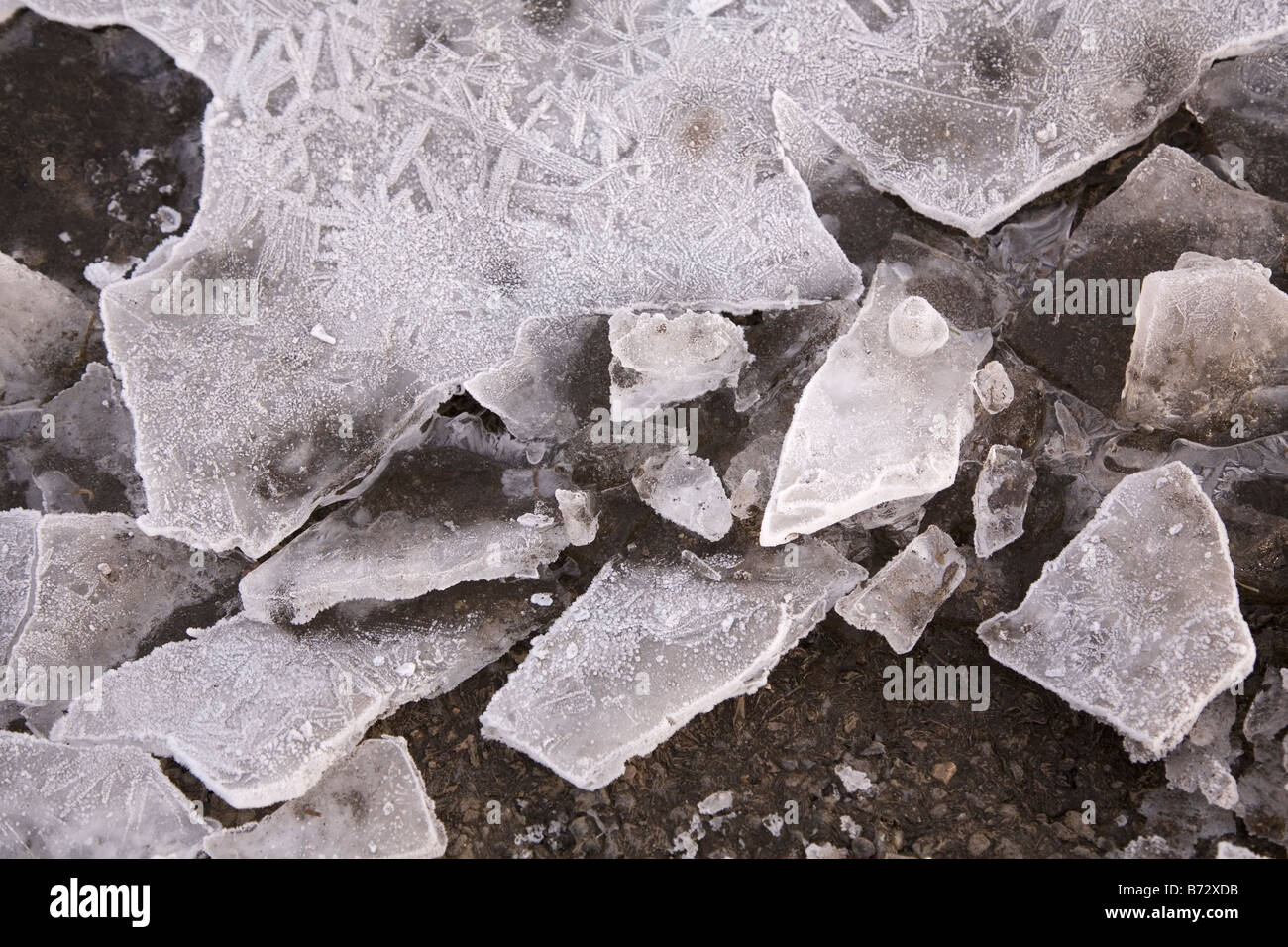 Broken ice has been refrozen and covered in frost during the harsh ...