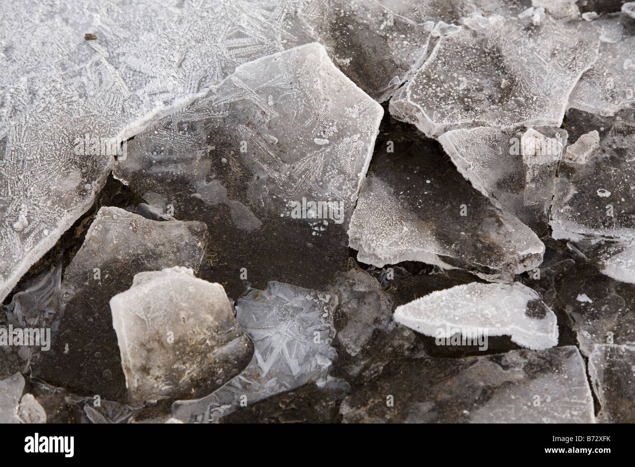 Broken ice has been refrozen and covered in frost during the harsh ...