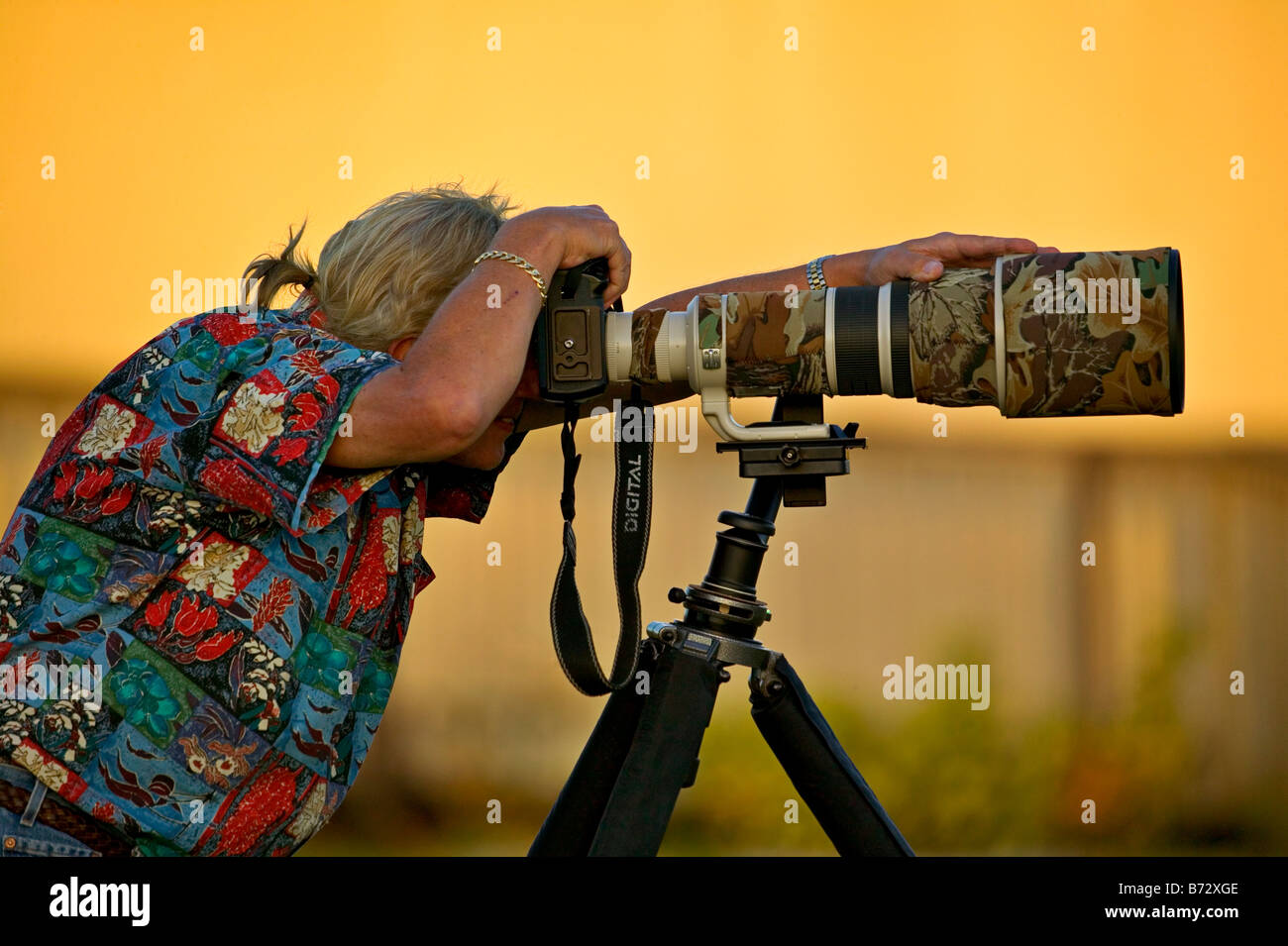 A wildlife photographer looks through a long lens Stock Photo - Alamy