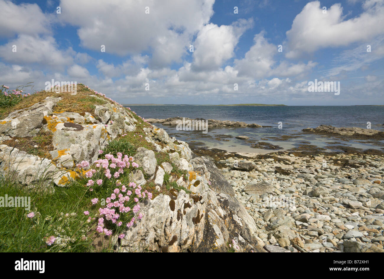 Shetland fetlar island hi-res stock photography and images - Alamy