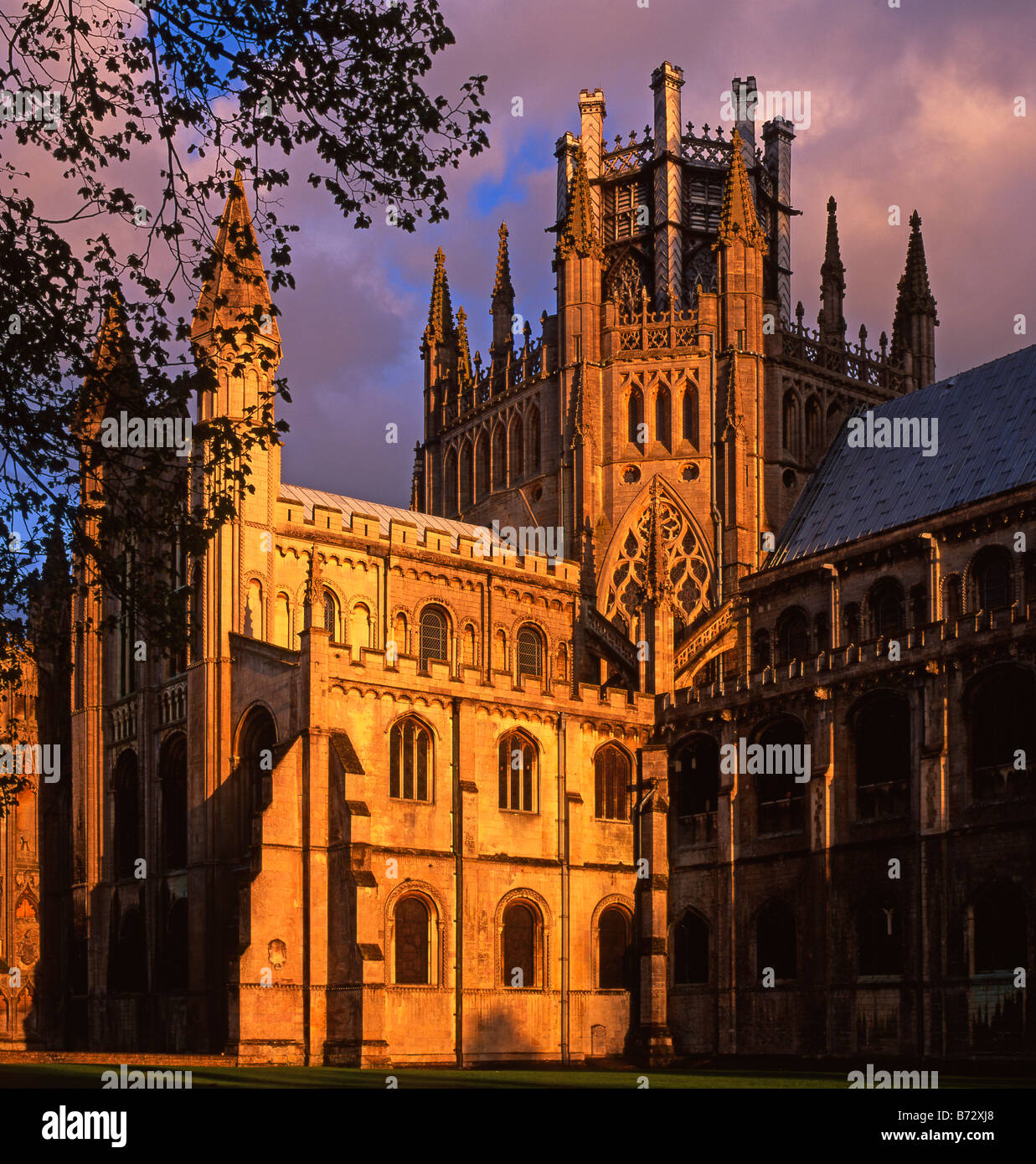Ely Cathedral, octagonal lantern tower Stock Photo - Alamy