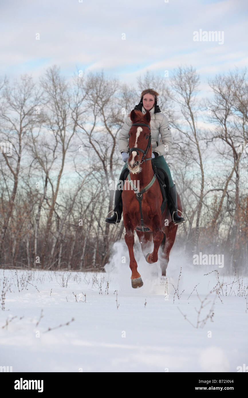 Lady rider horse hi-res stock photography and images - Alamy
